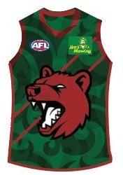 tasmanian devils afl